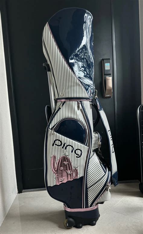 핑 여성 골프캐디백 당근 중고거래