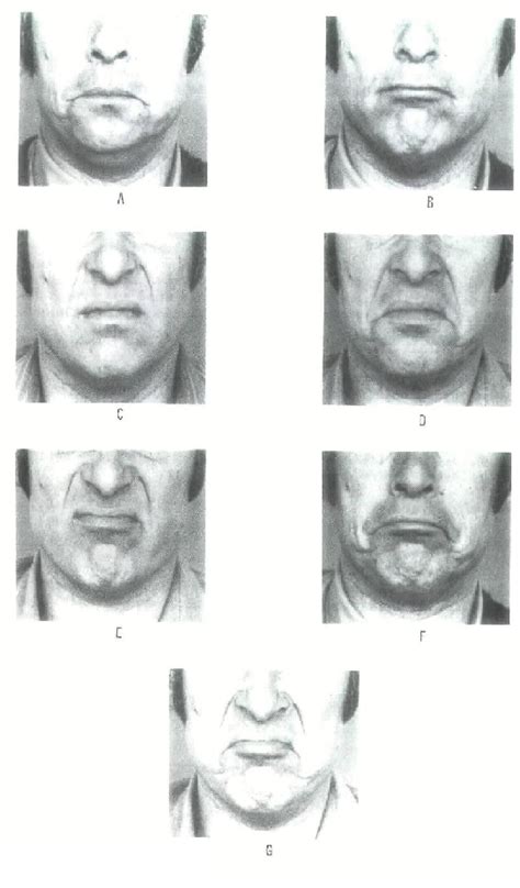 Figure 3 From A Statistical Model For Expression Generation Using The