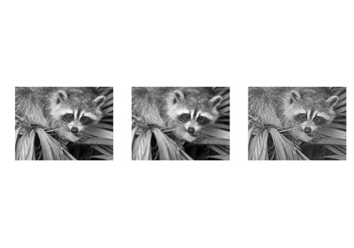 2 6 Image Manipulation And Processing Using Numpy And Scipy Scipy Lecture Notes