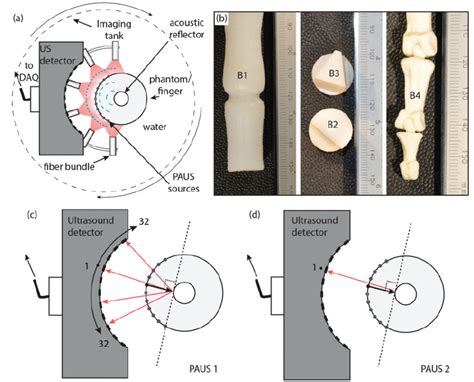 A Schematic Of The Photoacoustic Computed Tomography Setup The Download Scientific Diagram