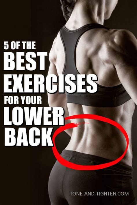 Best Lower Back Exercises Artofit