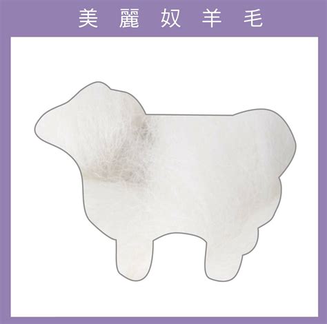 紐西蘭ashford 美麗奴羊毛 M18白色 幅新手織直營店 樂天市場rakuten