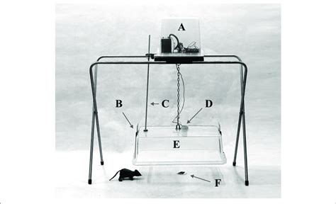 The Tested Prototype Of The Trap A Arduino Computer And Triggering