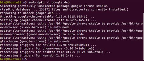 Best Way To Install Chrome Browser On Ubuntu Linux Linuxshout