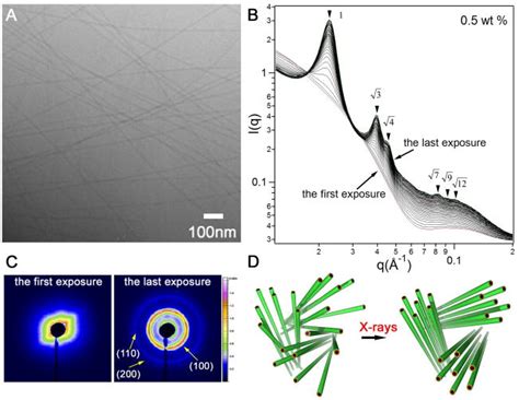 Spontaneous And X Ray Triggered Crystallization At Long Range In Self Assembling Filament
