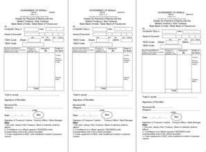 Challan Entry Form Fill Online Printable Fillable Blank PdfFiller