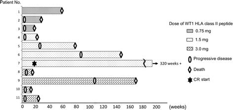 Schema For Wt1 Tetramer And Intracellular Cytokine Assays Pbmc Samples