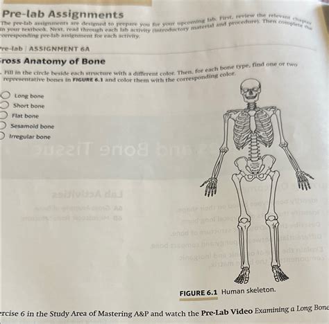 Solved Pre Lab Assignmentsthe Pre Lab Assigmments Are Chegg