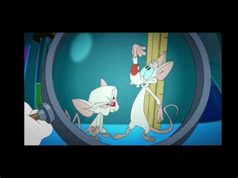 Pinky Und Der Brain Intro 2020 German Fandub YouTube