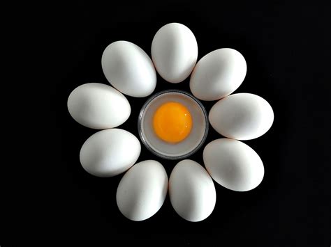 Ovulation Symptoms 5 Signs Of Ovulation