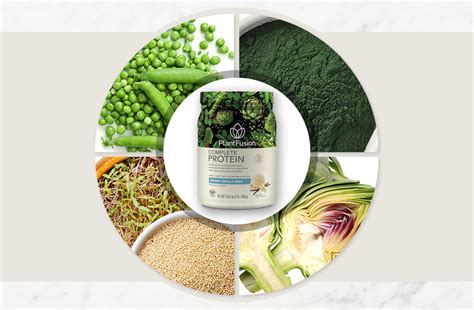 Protein Powder Bloating Explained Whats Causing It And How To Fix It Plantfusion