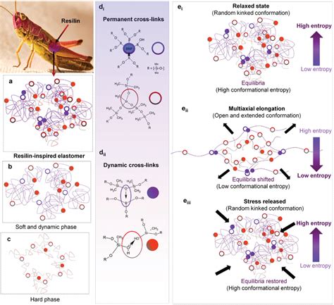 Schematic Of Universal Self‐healing Elastomer Inspired By Composites