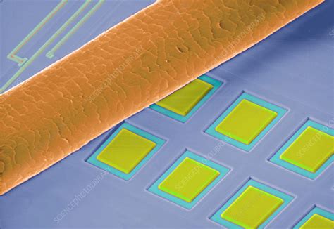 Sem Of Micro Accelerometer And A Hair Stock Image T395 0063 Science Photo Library