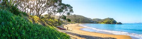 Obtaining An International Qualification Assessment Iqa Pathways To New Zealand®