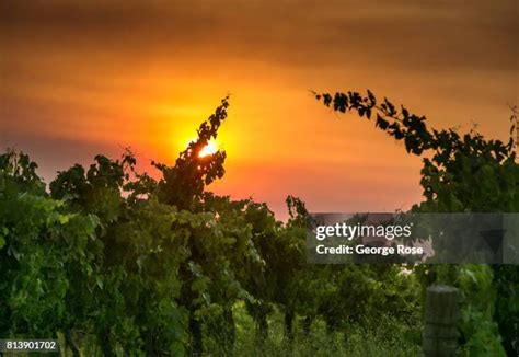 Alamo Fire Photos And Premium High Res Pictures Getty Images