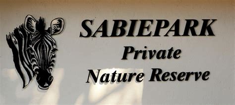 Vacant Land Plot For Sale In Sabie Park 200 Sabiepark Street P24