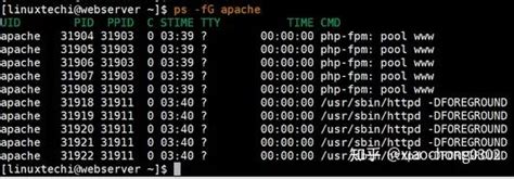 通过20个实例掌握 Linux Ps 命令 知乎