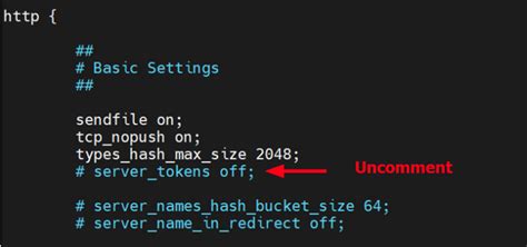 How To Hide Nginx Version In Linux Simple Guide
