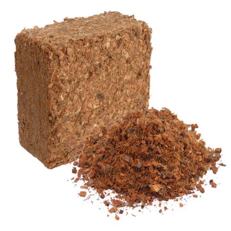 Coir Substrate For Snail Habitats Snails4you