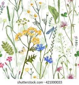 Hand Drawn Seamless Pattern Colorful Herbs Stock Vector Royalty Free