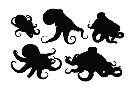 Octopus With Tentacles Silhouette Bundle Graphic By Iftikharalam