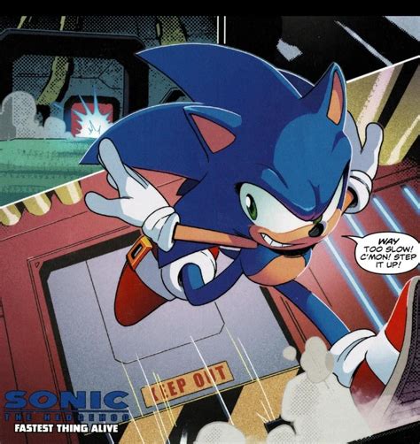 This Might Be Hard To Do But For My Comic Readers And Sonic Franchise
