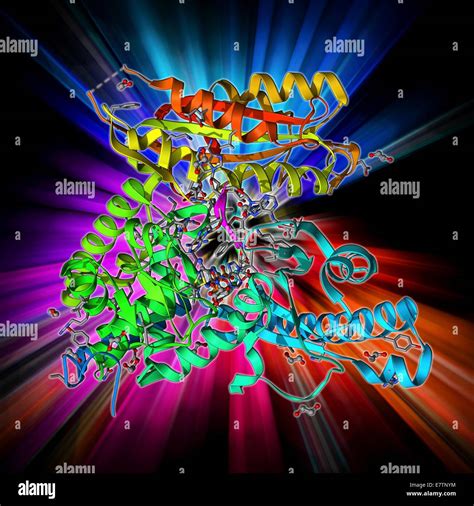 Polya Polymerase And Rna Molecular Model Of Polya Polymerase Complexed With Rna