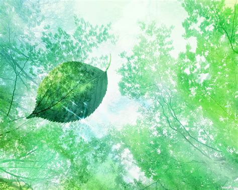 透かし新鮮な緑の葉の壁紙 15 1280x1024 壁紙ダウンロード 透かし新鮮な緑の葉の壁紙 風景 壁紙 V3の壁紙