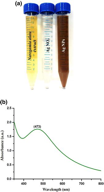 A Color Intensity Of Naregamia Alata Aqueous Extract Before And After Download Scientific