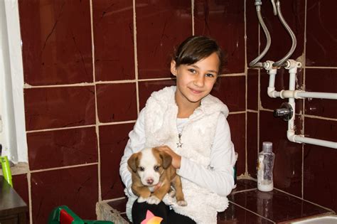 Srbi Za Srbe Којићима купљена кућа Освануо је леп дан у сремском селу Мартинци код Сремске