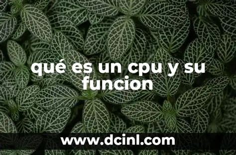 Qué Es Un Cpu Y Su Funcion Ejemplos Concepto Guia