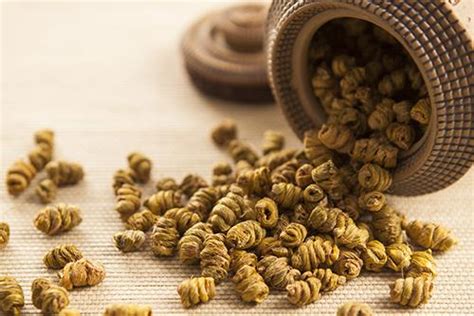 兩鹼一糖鐵皮石斛降伏高血壓的撒手鐧 每日頭條