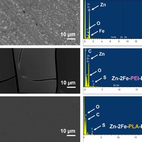 Sem Micrographs With Corresponding Edx Analyses A B Zn Fe C D