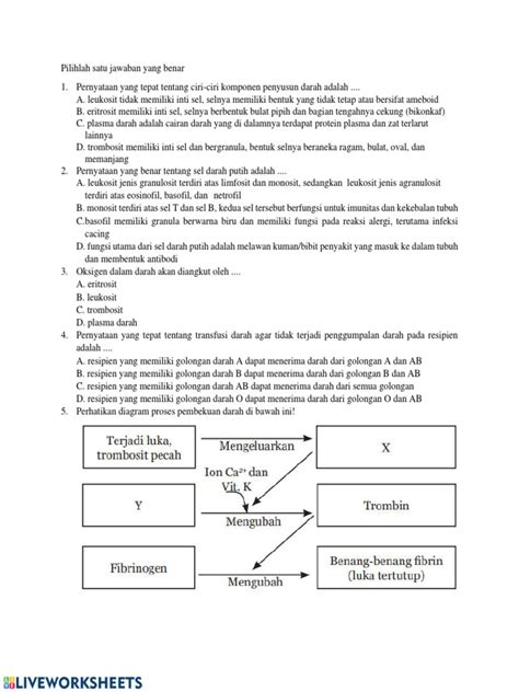 Soal Sistem Peredaran Darah Pdf