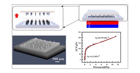 Piezo Capacitive Flexible Pressure Sensor With Magnetically Self Assembled Microneedle Array