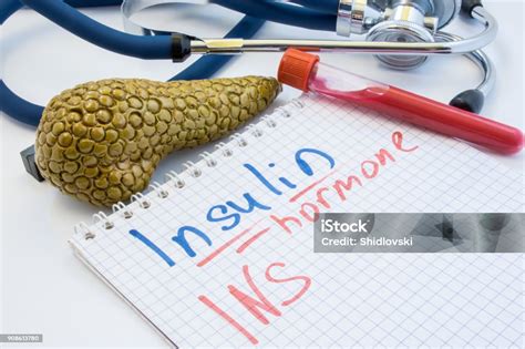 호르몬 인슐린 개념 사진입니다 인슐린 호르몬 기능의 비문 노트북 거짓말 테스트 튜브 옆 혈액 췌 장 및 배경에서 청진 기의 해 부 그림 감소에 대한 스톡 사진 및 기타