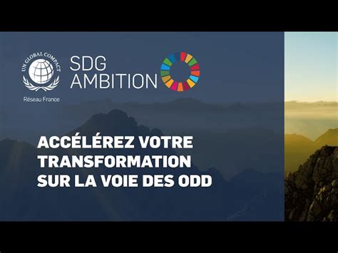Sdg Ambition Un Programme Pour Accélérer Sa Contribution Aux Odd