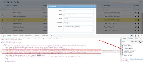 Z Index Of The Add Edit Form Grid Php Support Center