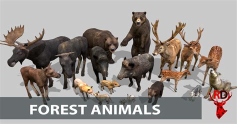 Forest Animals Short 3d Animals Unity Asset Store