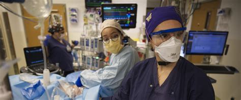 Adult Cardiothoracic Anesthesiology Uw Anesthesiology And Pain Medicine