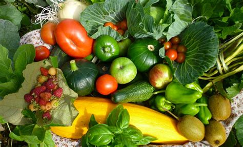 La huerta ecológica de Carme La NATURALEZA nos importa