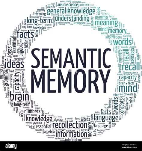 Semantic Memory Vector Illustration Word Cloud Isolated On White