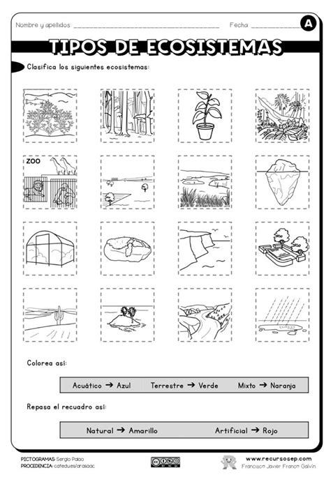 Tipos De Ecosistemas
