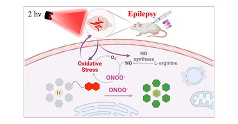 Fret Luminescent Probe For The Ratiometric Imaging Of Peroxynitrite In Rat Brain Models Of