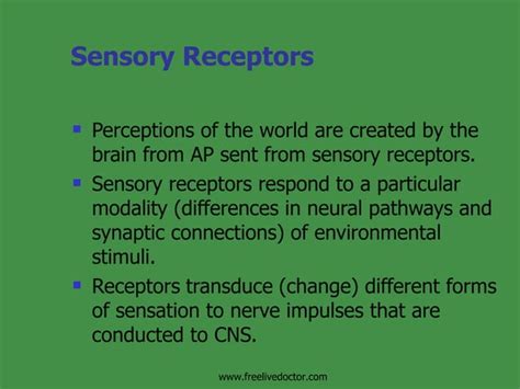 Sensory Physiology Ppt