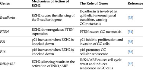 The Genes Related To Ezh2 And Gastric Carcinogenesis Download