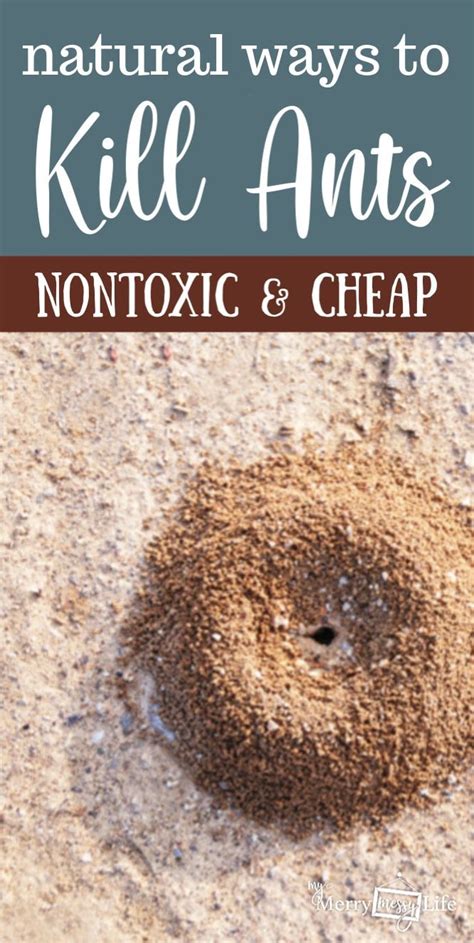 Natural Ways To Kill Ants And Pests Kill Ants Ants Ant Killer Natural