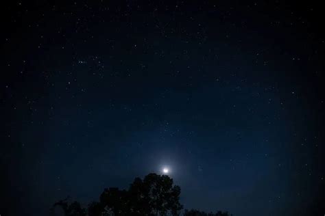 迟子建世界上所有的夜晚爱一个人会是什么感觉你想起这个人会心疼 努力学习网
