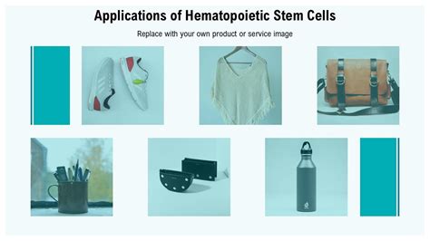 Hematopoiesis Stem Cells Ppt Graphics Acp Ppt Template
