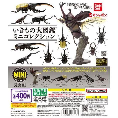 Bandai萬代 生物大圖鑑mini 昆蟲篇01 甲蟲 獨角仙 鍬形蟲 大兜蟲 轉蛋 扭蛋 全新現貨 蝦皮購物